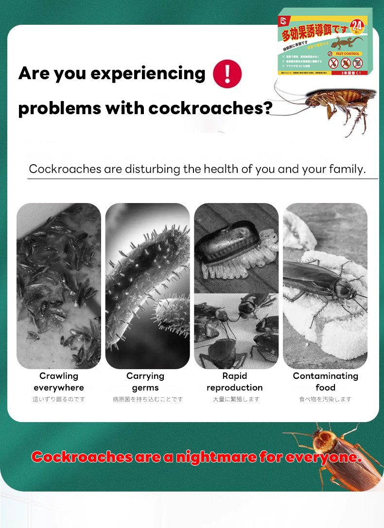 🔥 72 pcs 🔥 Cockroach killer Racun lipas Perangkap lipas Wipe Out All ...