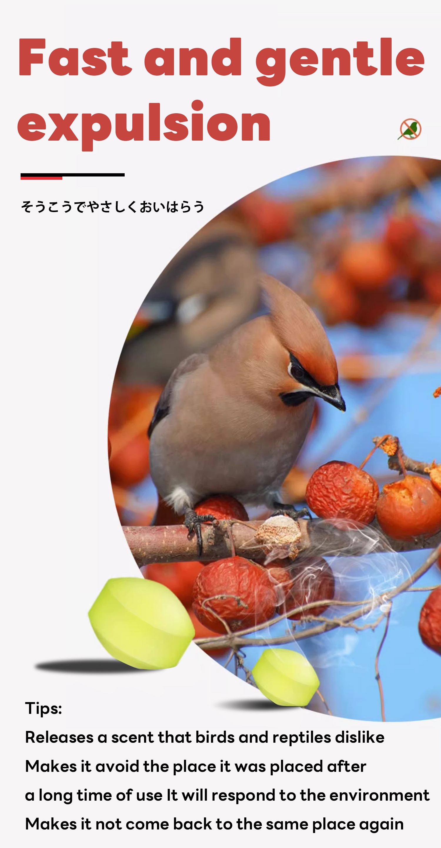 【Easily Drives Away Birds】ioo Bird repellent outdoor Penghalau burung ...