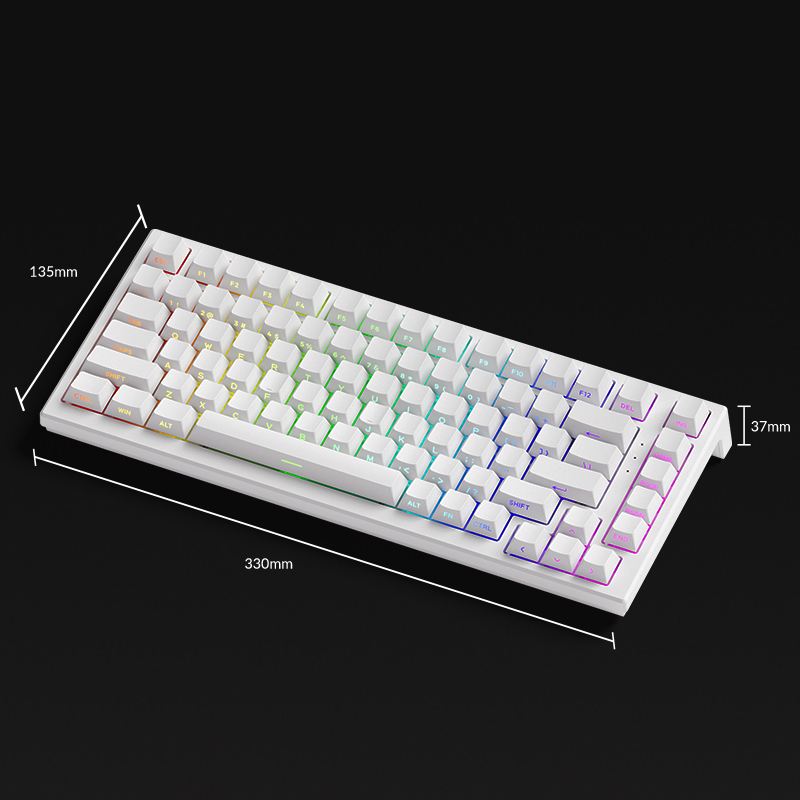 AKKO White Wired Magnetic Switches Keyboard With SOCD Rapid Trigger ...
