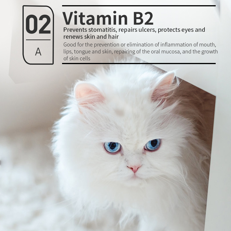 PUAINTA Liquid Vitamin B Supplement for Cat Dog Hair Loss Eye ...