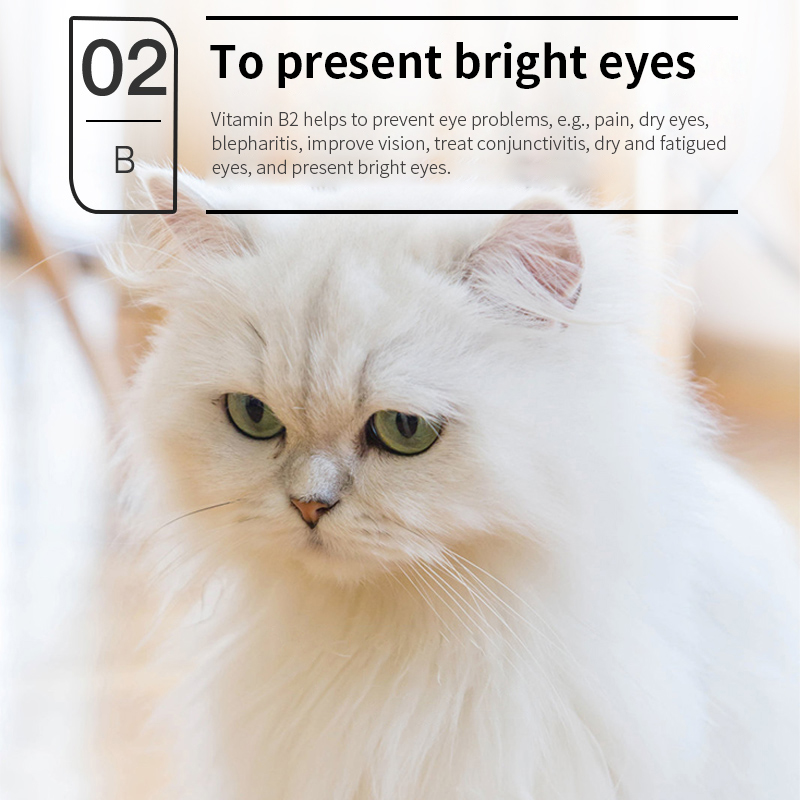 PUAINTA Liquid Vitamin B Supplement for Cat Dog Hair Loss Eye ...