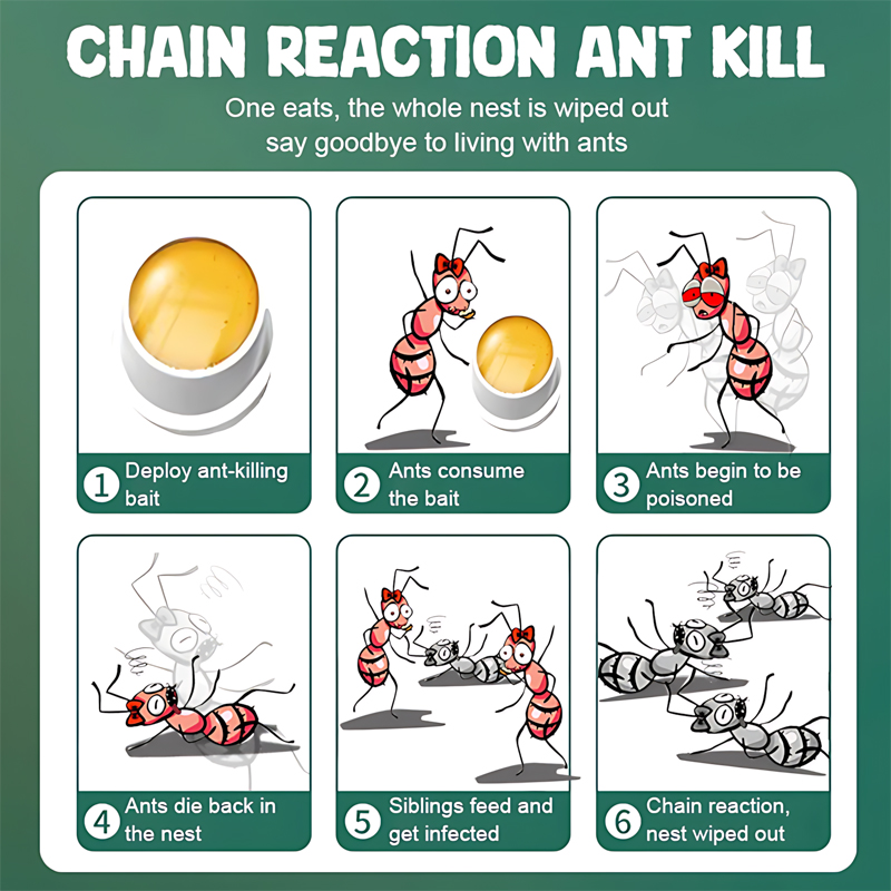 Ant insecticide（Box of 8 pills） ant bait ant killer ant colony dies new ...