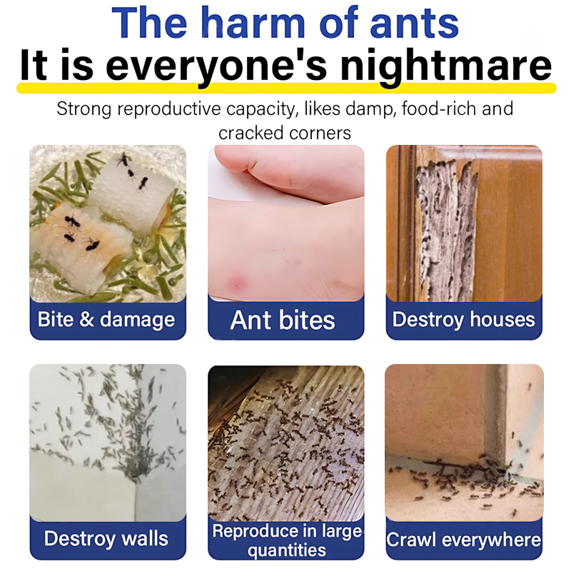 Ant insecticide（Box of 8 pills） ant bait ant killer ant colony dies new ...
