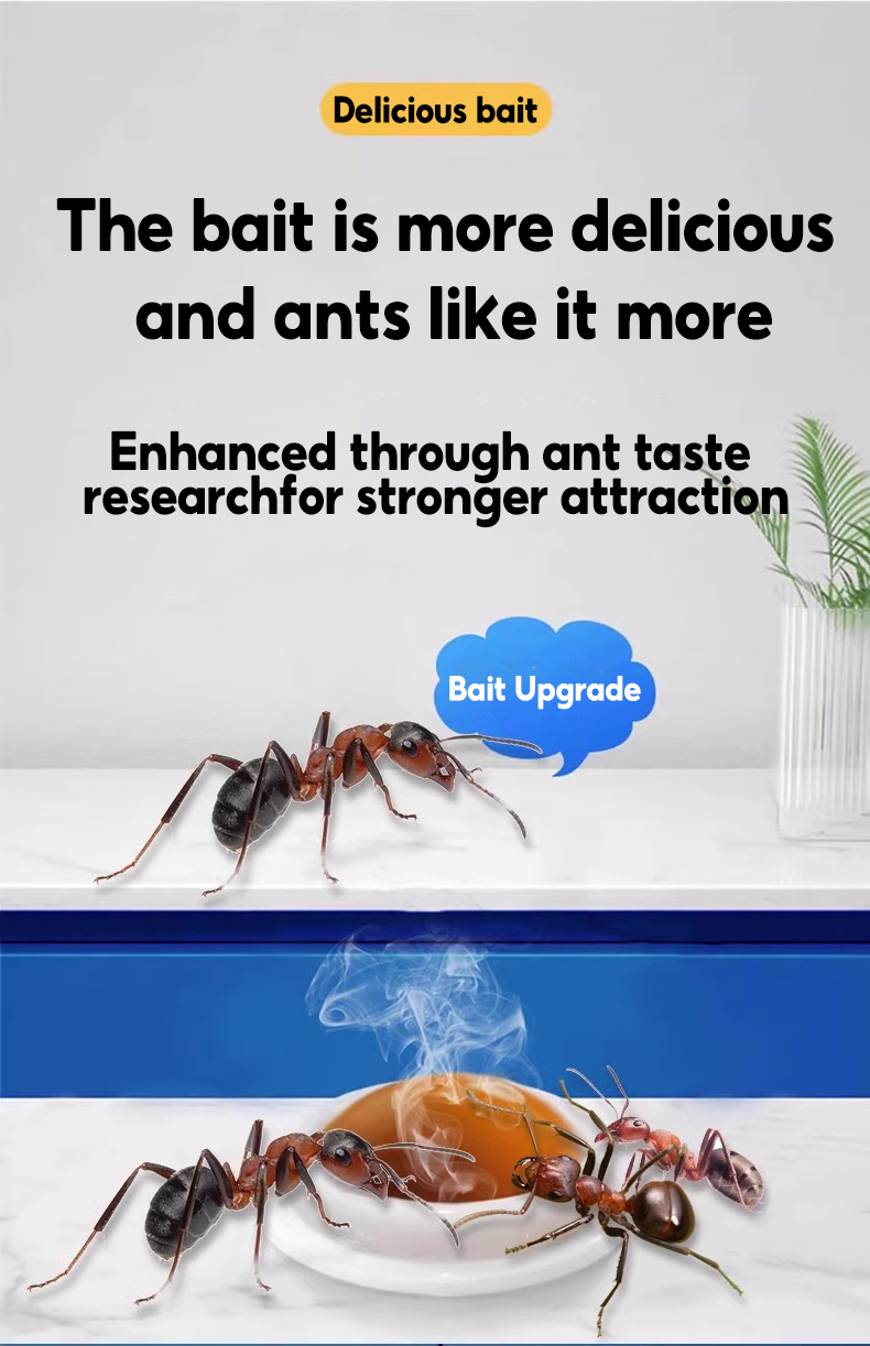 【All ants died in 30s】ioo Ant bait killer Ant poison Ant killer Ant ...