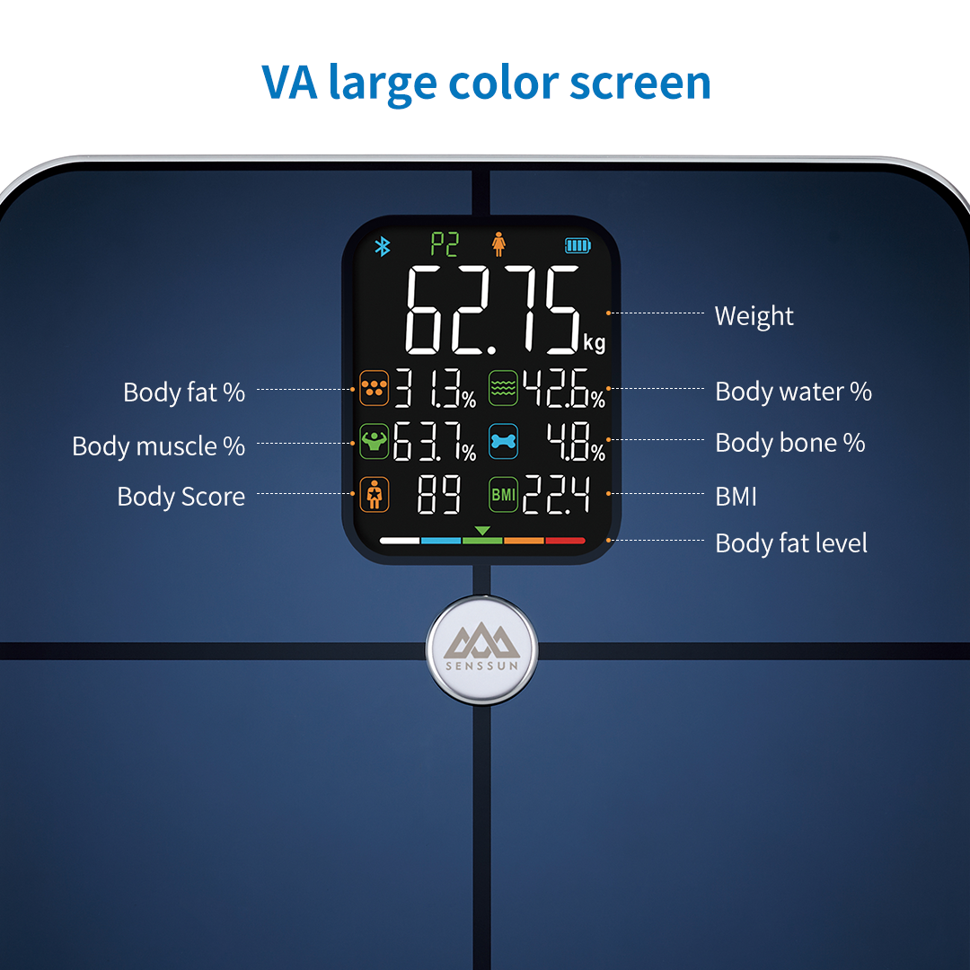 CAMRY Smart Body Fat Scale VA Colorful LCD & ITO Coating Screen ...