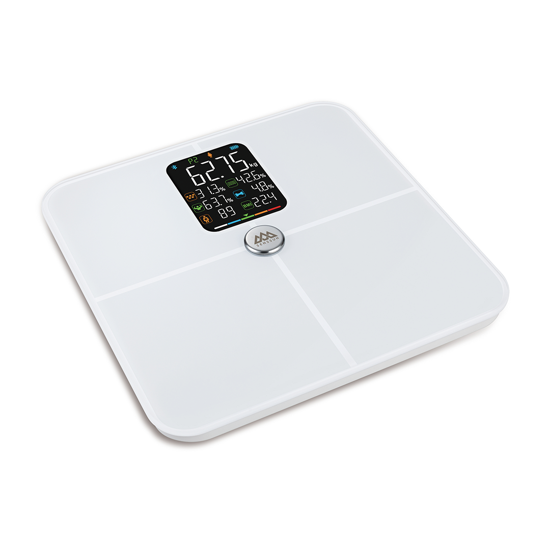 CAMRY Smart Body Fat Scale VA Colorful LCD & ITO Coating Screen ...
