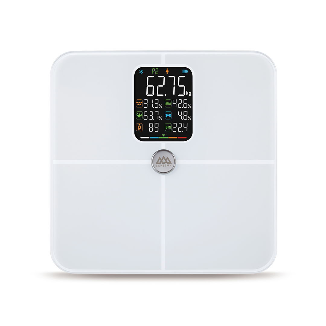CAMRY Smart Body Fat Scale VA Colorful LCD & ITO Coating Screen ...