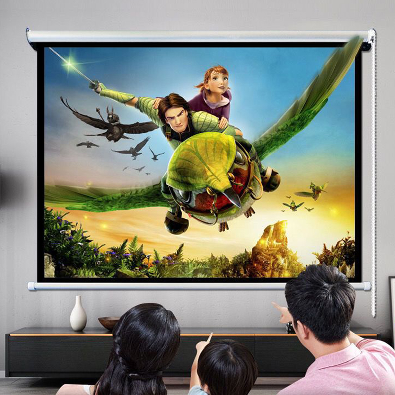 Projector Screen, HD Multi Size Manual Projection Screen, Quality ...
