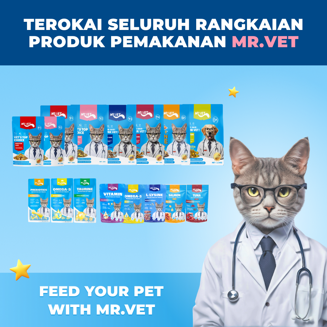 MR.VET Cat Food T2 Pack 300g With Omega-3, Fortified For Healthy Skin ...