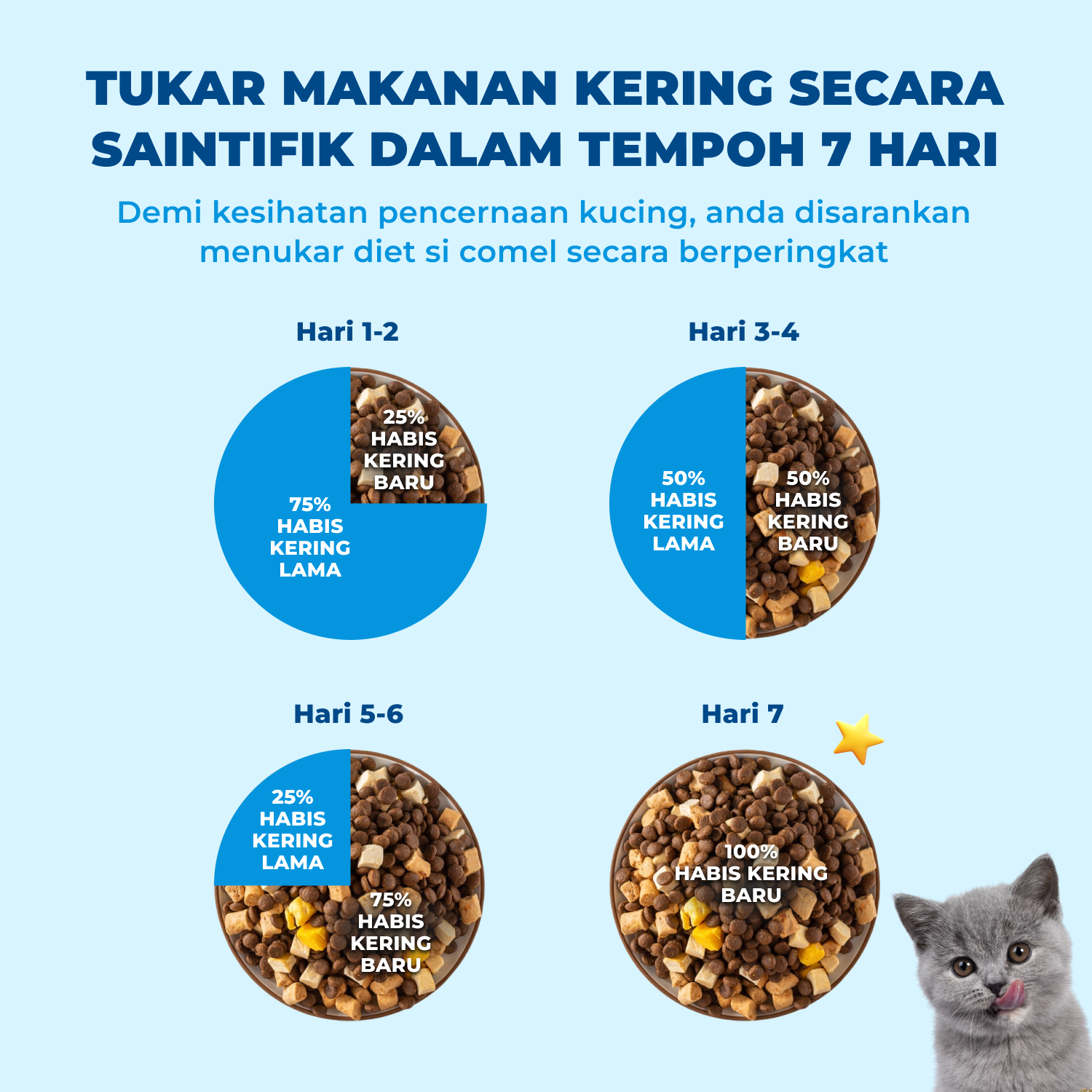 MR.VET Cat Food T4 Combo 9 Packs 1KG Reduce Stool Odor, With 6 Types Of ...