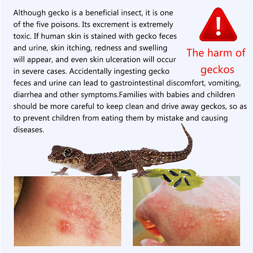 【15 Years without lizards】100% killing Eliminate gecko nest in 1 second ...