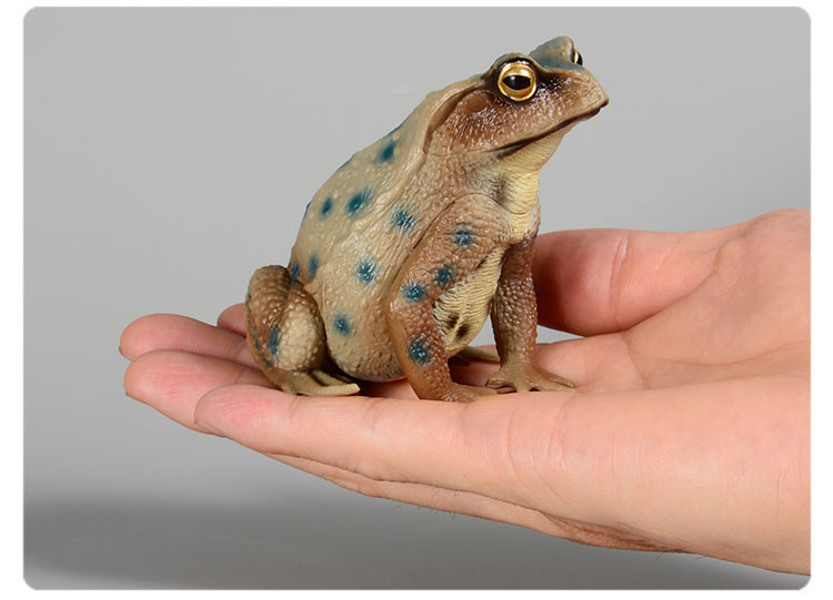 Realistic Toad Frog Figure Plastic Hand Painted Wild Animal Insects ...