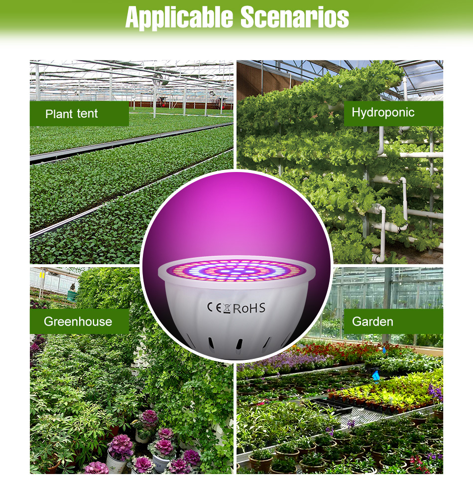 9W E27 LED Plant Grow Light Bulb 220V Full Spectrum 7W E14 Red Blue Fill Lamp MR16 5W Greenhouse ...