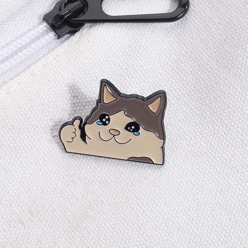Thumb Up Crying Cat Enamel Pin Kawaii Humorous Work Hard Animal Duck ...