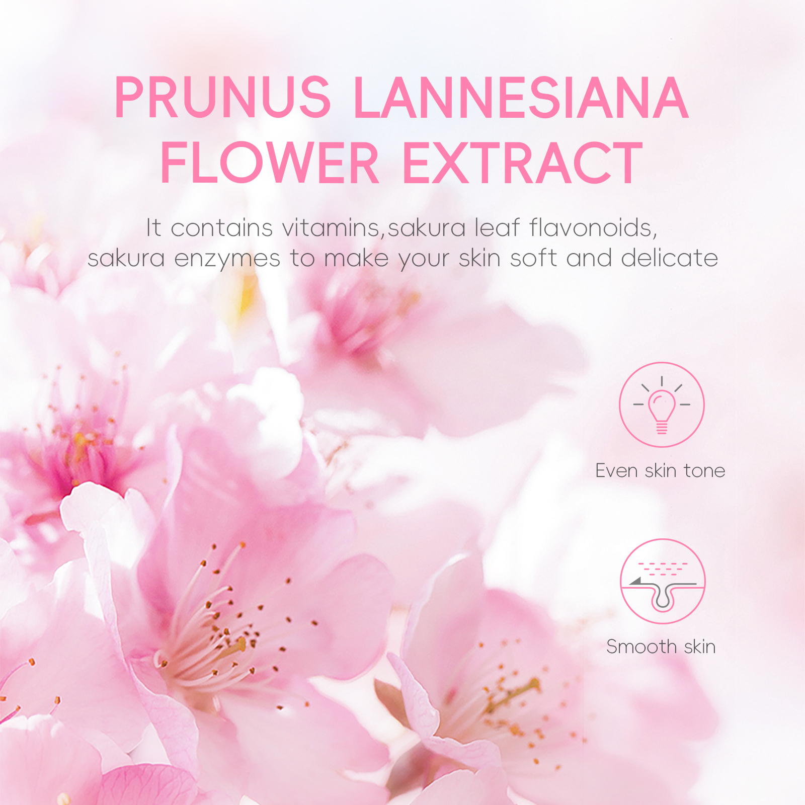 Fenyi Cherry Blossom Peeling Gel Facial Scrub Exfoliating Remove Dead ...