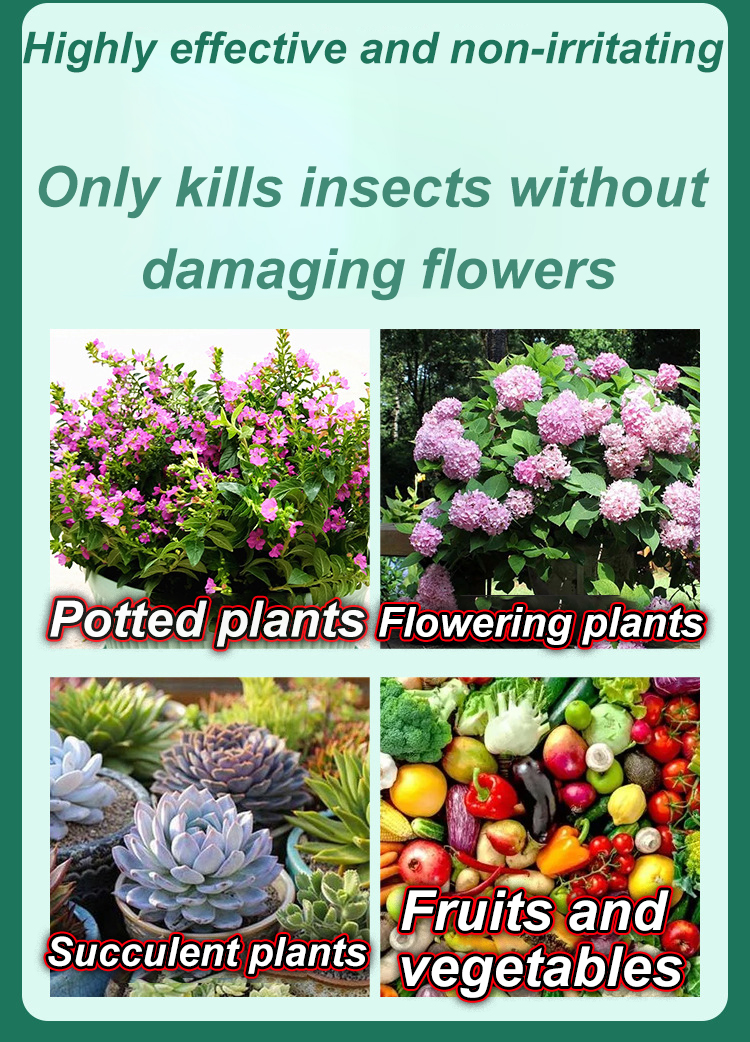 100% effective botanical insecticide Racun serangga tanaman sayur 500ML ...