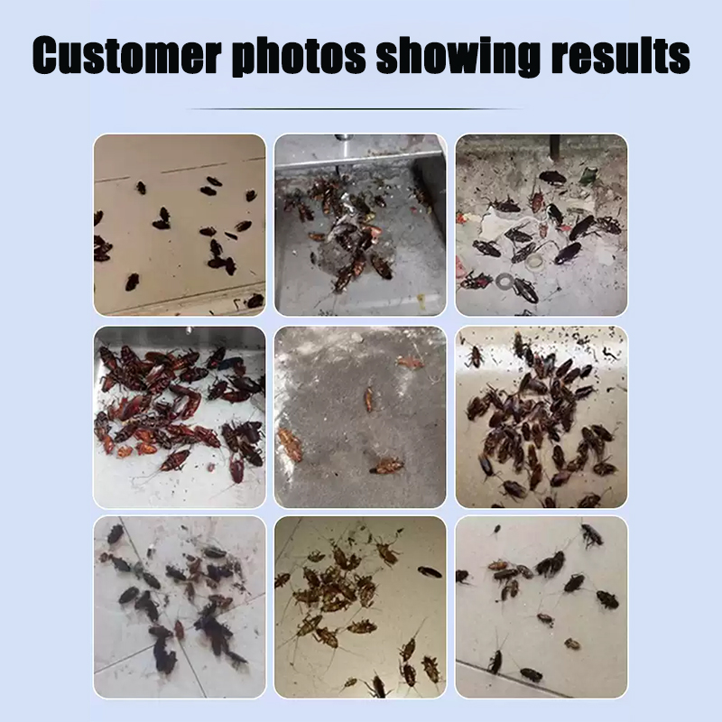 🔥 Latest Formula Cockroach Bait 🔥 cockroach killer perangkap lipas ...