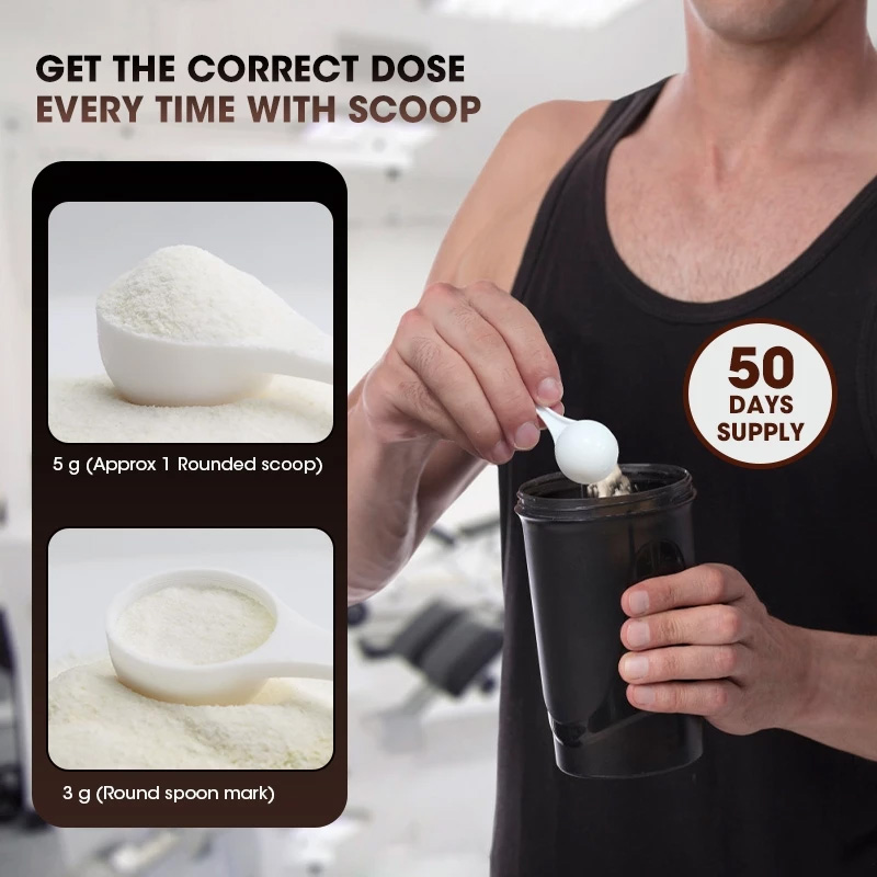 Chocolate Creatine Monohydrate Powder 250g - Creatine supplements ...