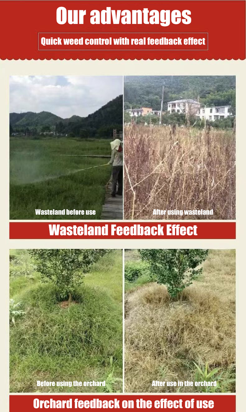 2000% tree destruction Tree killer 500g Racun pokok paling kuat MOGO ...