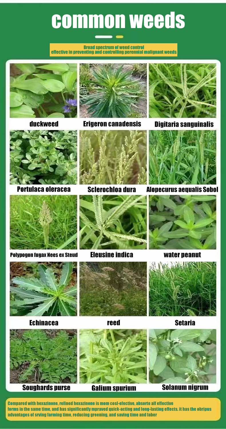 2000% tree destruction Tree killer 500g Racun pokok paling kuat MOGO ...