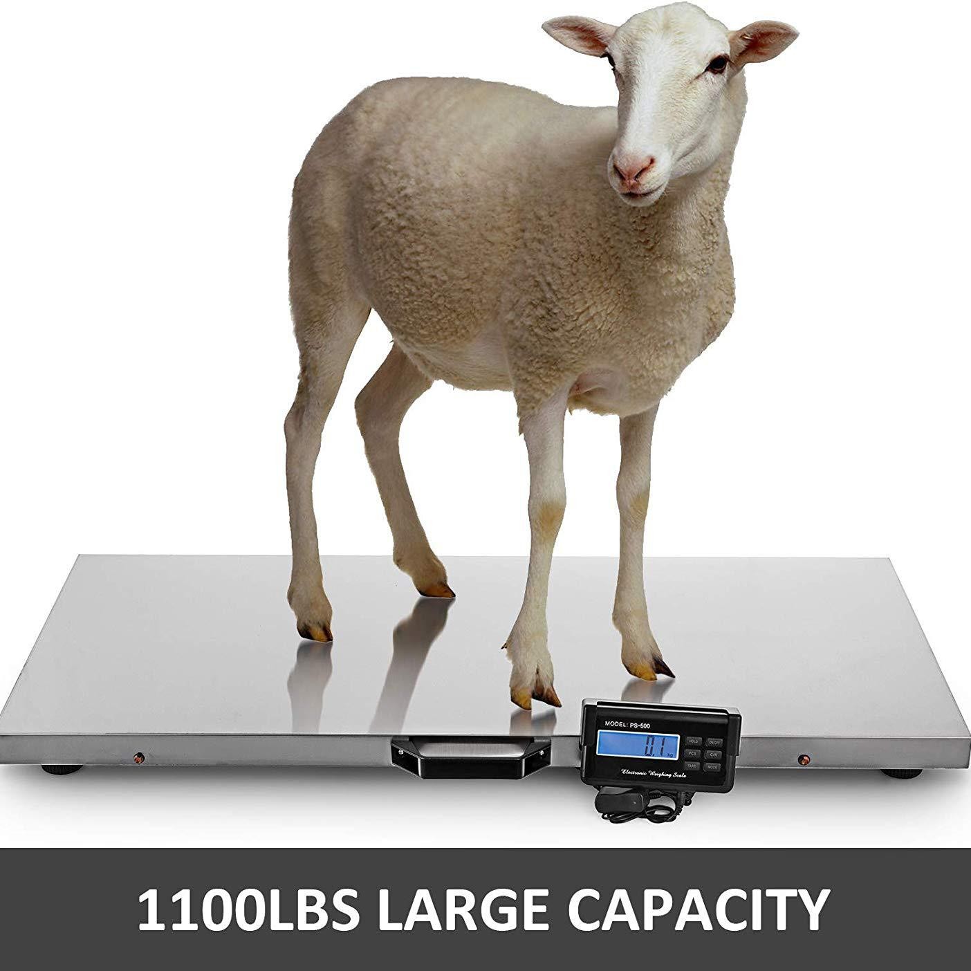 Heavy Electronic Balance Floor Bench Weighting Scale Commercial Scales ...