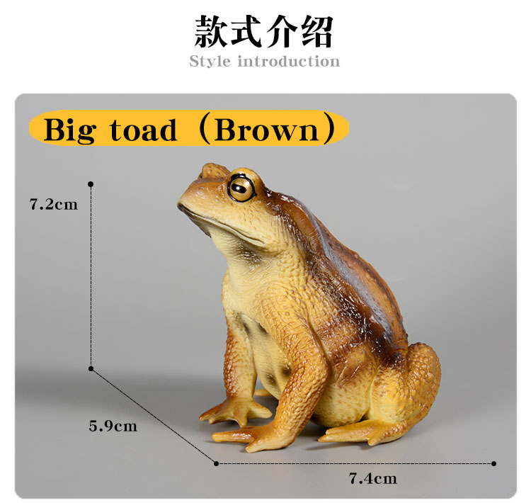 Simulated Toad Tree Frog Model Figure Toy Realistic Bullfrog Figurines ...