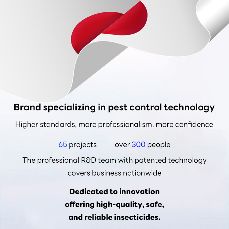 💥 72 Pieces 💥 Ubat semut Ant killer Racun semut Ant bait Quickly ...