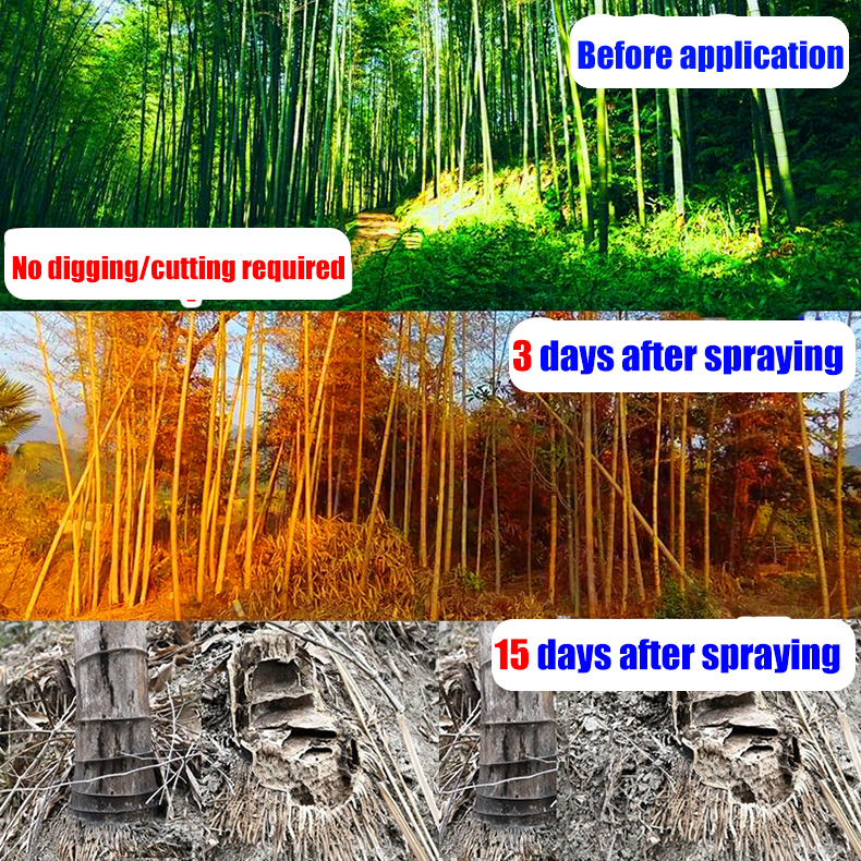 [Strong destructive power] bamboo tree killer Effective weed control ...