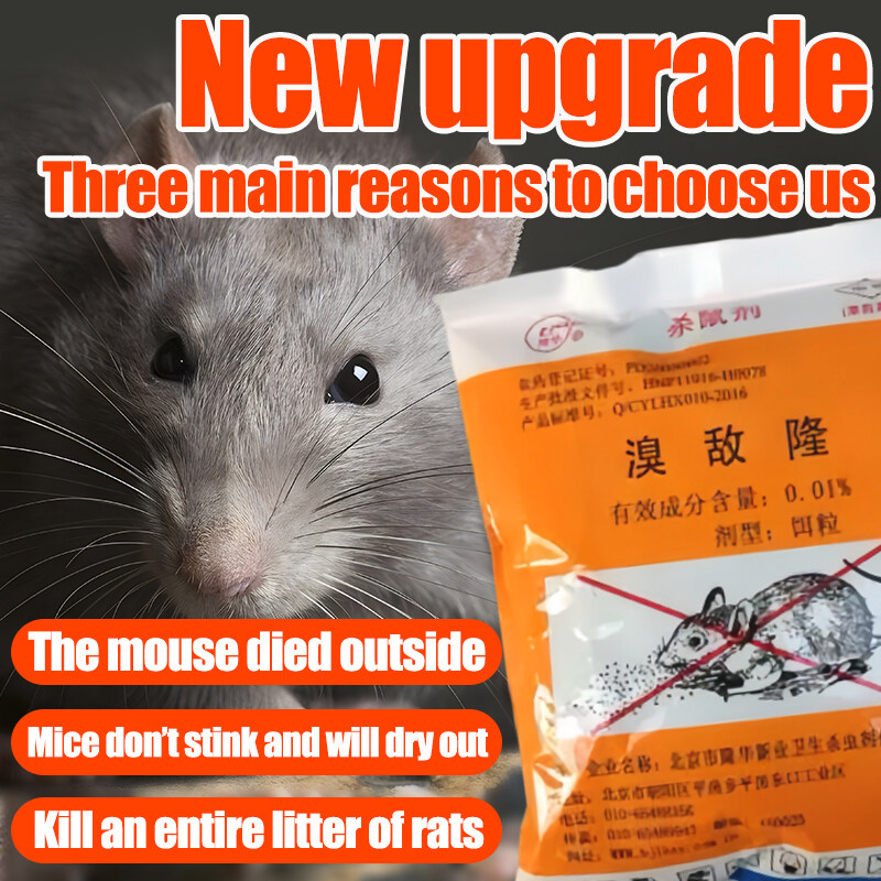 Rats die out doors and don't need to be cleaned up ubat tikus paling ...
