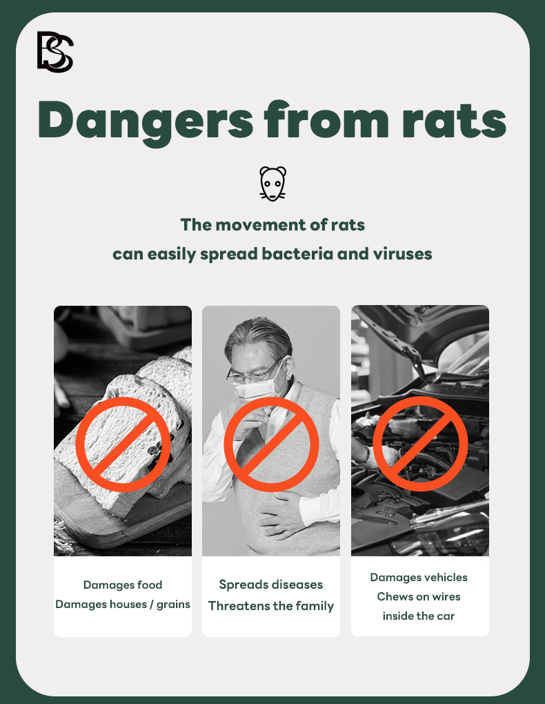 🐭10 km with no rats!🐭 Rat repellent Penghalau tikus Ubat halau tikus 1 ...