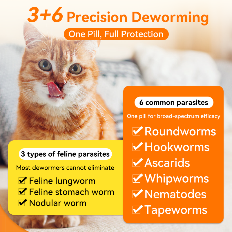 [BUY 40 FREE 20] PUAINTA Pet Dewormer Tablet Anti Hookworm Whipworm ...