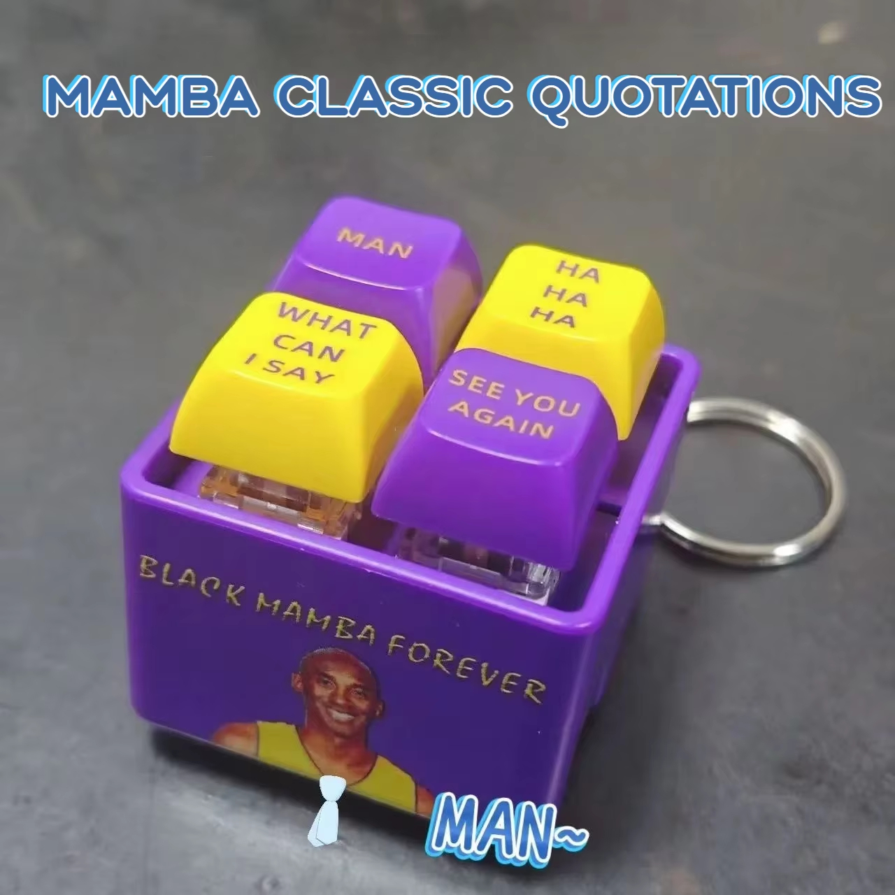 EGPWS 737 Warning Sound Airplane Emergency Alert Keychains Black Mamba Forever Simulator ...