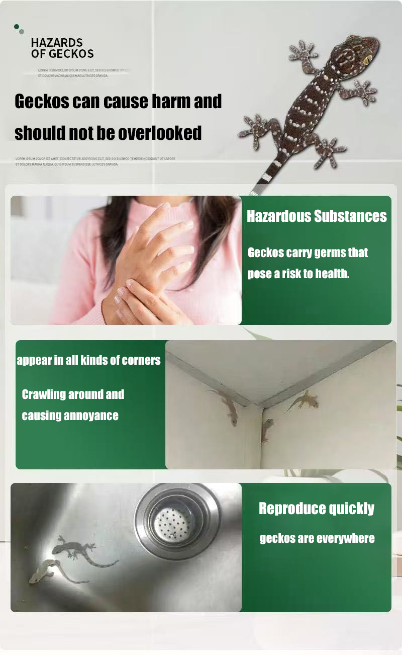 🦎No geckos in the entire house🦎lizard repellent lizard killer Cicak ...