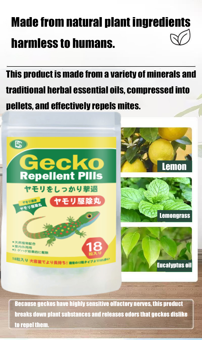 🦎No geckos in the entire house🦎lizard repellent lizard killer Cicak ...
