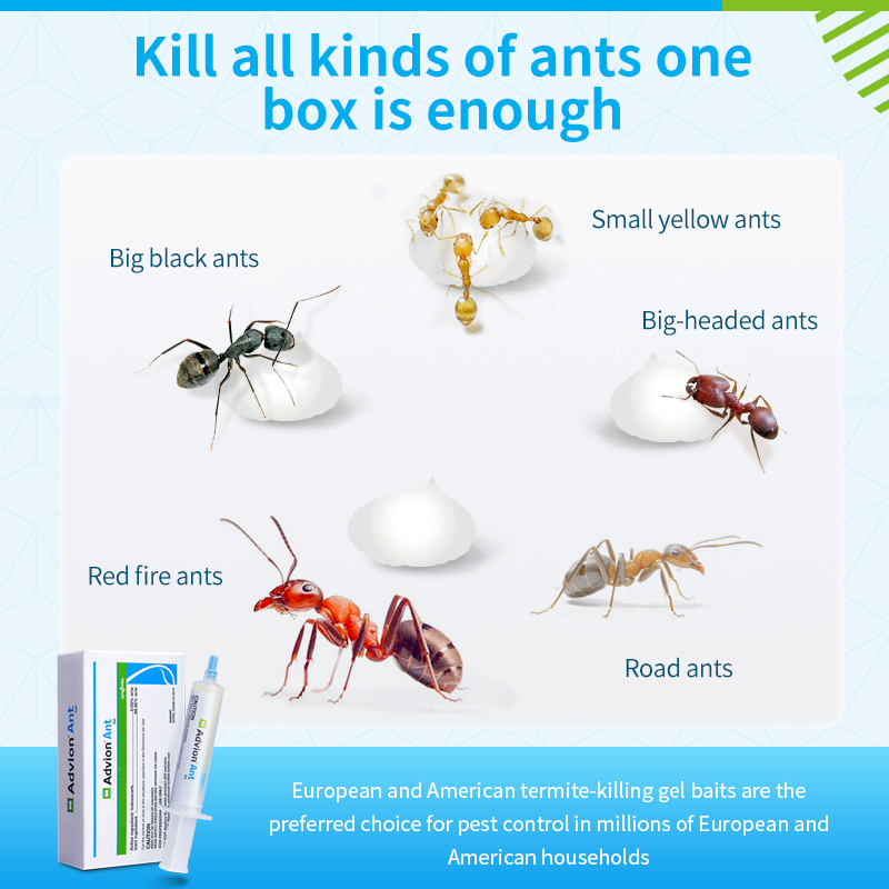 Advion Ant Gel Bait, 30g, 1 Plunger & 1 Tip, Cockroach Killer ...