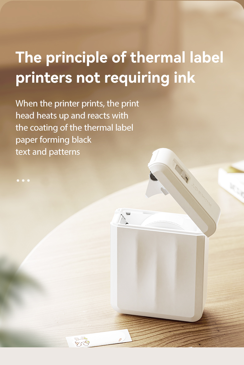 Niimbot D110 Label Printer Portable Sticker Printer Name Sticker ...