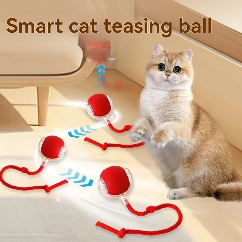 Electric Interactive Pet Toy Ball Cat Rolling Balls Motion Activated ...