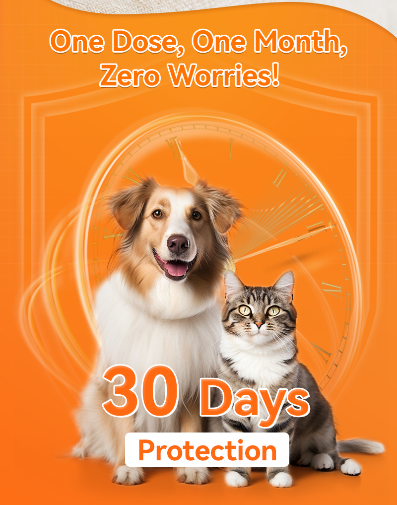 PUAINTA Anti Flea Tick Set Dewormer Tablet +Compound Probiotics for Cat ...