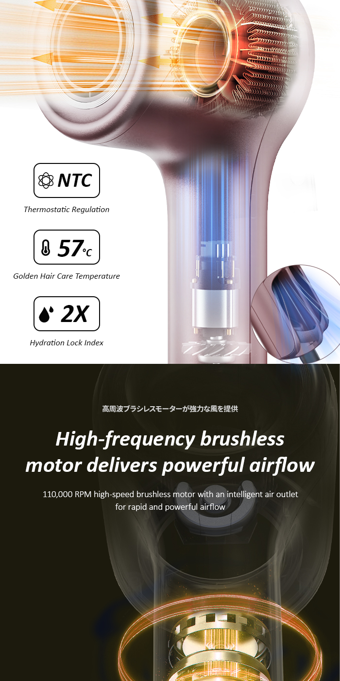 NIPLIFE Fast Drying Portable Mini Lightweight Water Ionic Plasma Hair ...