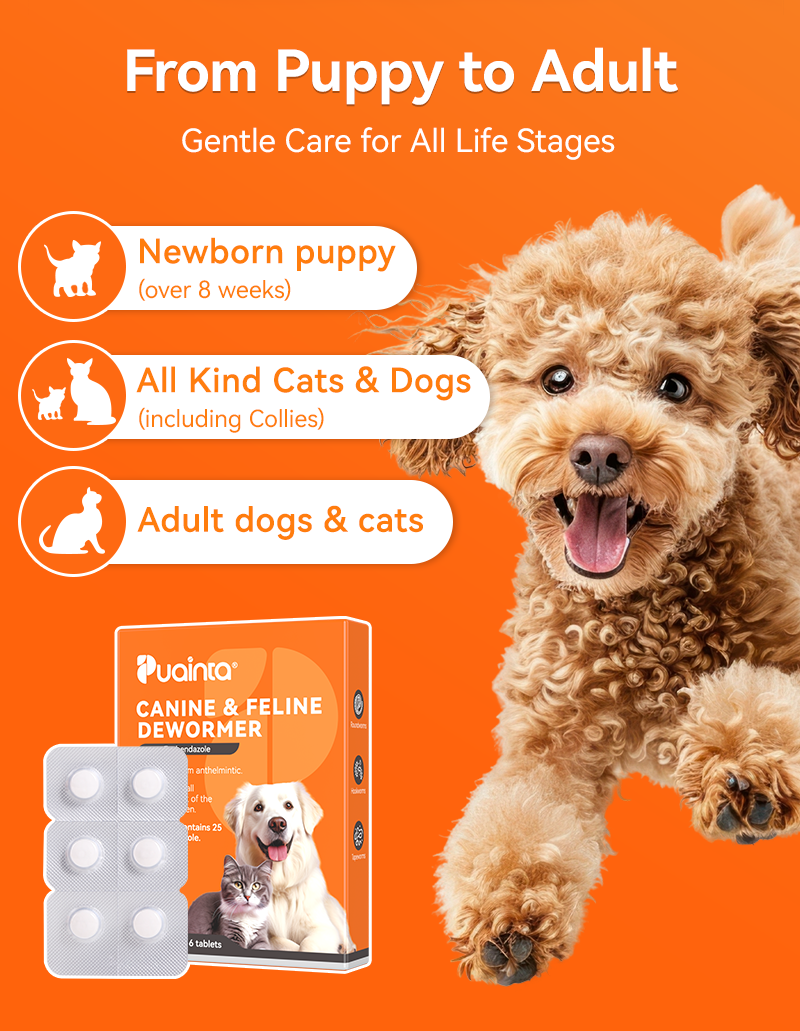 PUAINTA Anti Tick Flea Pet Spot-On External Dewormer & Pet Dewormer ...