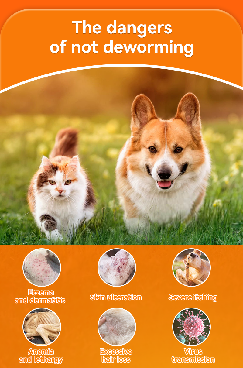 PUAINTA Anti Tick Flea Pet Spot-On External Dewormer & Pet Dewormer ...