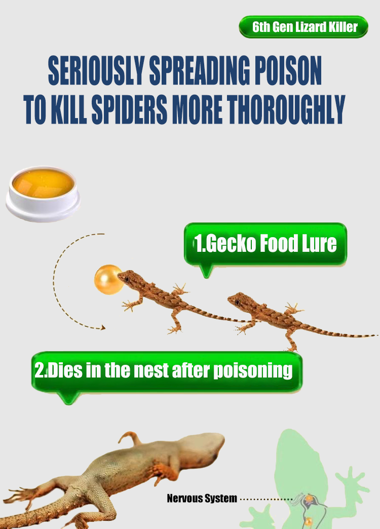 Eliminate all lizards overnight Lizard killer lizard killer bait Gecko ...