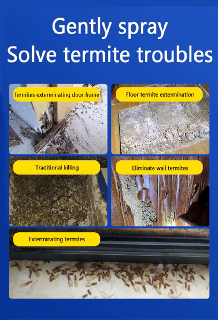 🐜Ant-free within 1000 meters🐜Termite killer Anai killer spray termite ...