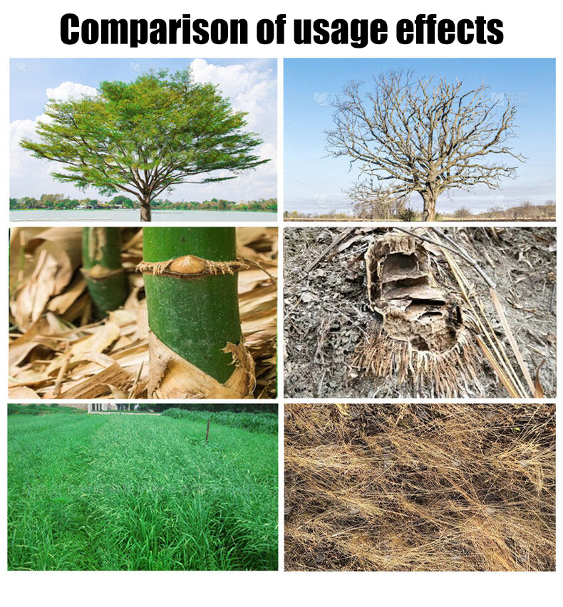 herbicide to kill tree grass weed killer and control 500g weeds grass ...