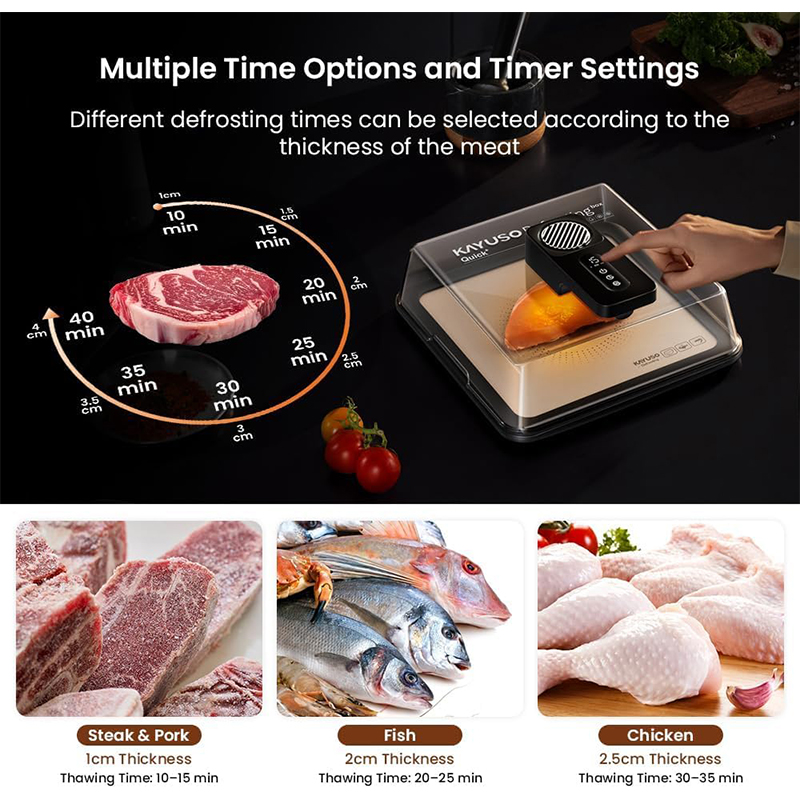 JAERSENT Kitchen Quick Thaw Machine Defroster Multi-functional ...