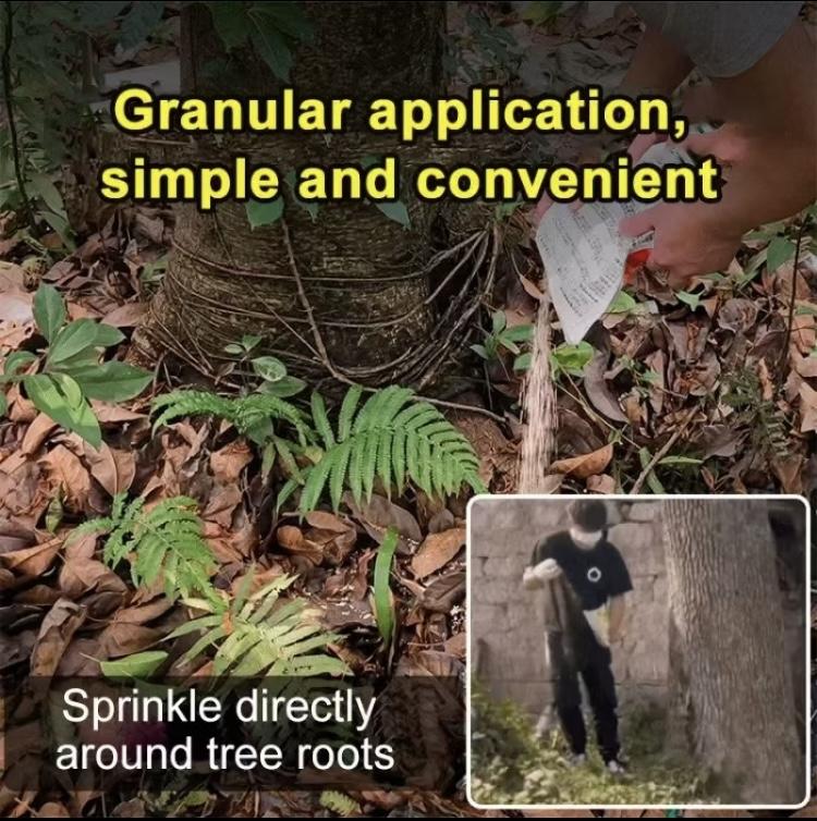 [HQ] Herbicide to kill tree,hexazione which can effectively kill big ...
