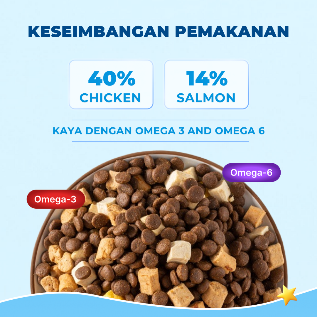 MR.VET Cat Food T2 Pack 1KG With Omega-3,Chicken & Salmon,Care for ...