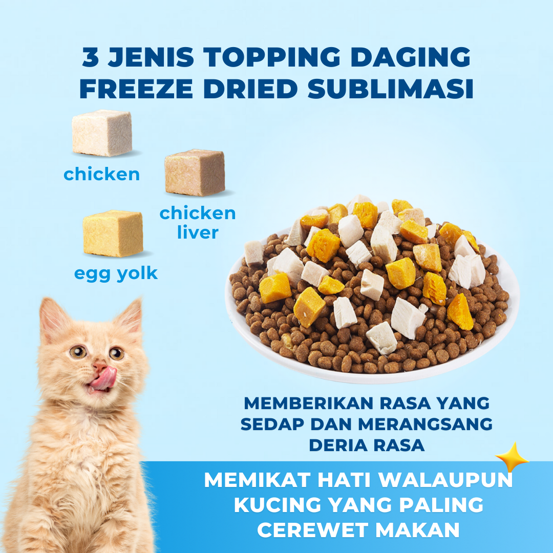MR.VET Cat Food T2 Pack 1KG With Omega-3,Chicken & Salmon,Care for ...