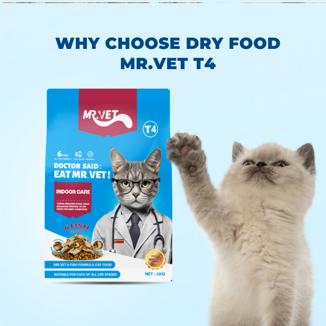 MR.VET Cat Food T4 1KG With 6 Types Of Sea Fish,Optimize gut microbiota ...