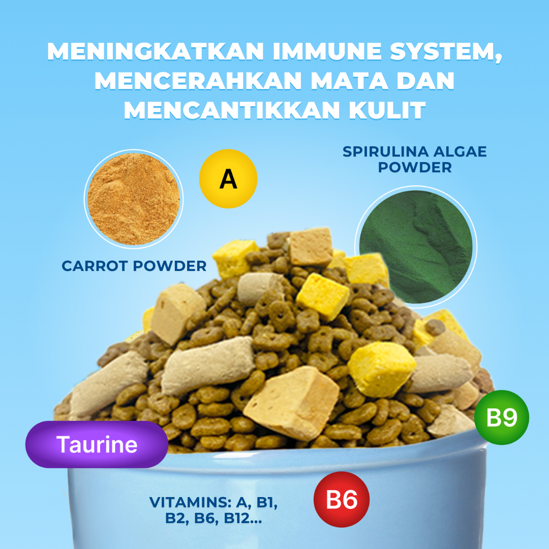 MR.VET Cat Food T3 Combo 2 Packs 1KG, With 4 Types Of Fish & Chicken ...